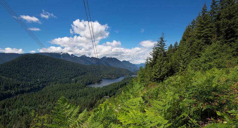 Eagle Ridge Lookout - 1 Reviews