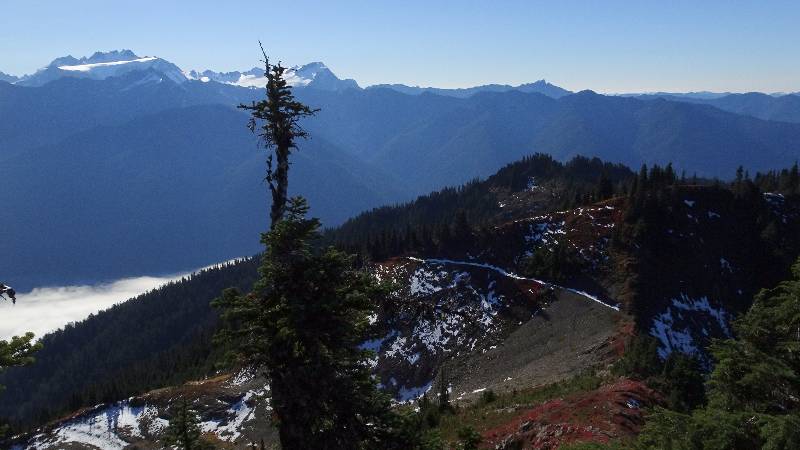 High Divide / Seven Lakes Basin Loop (from Sol Duc Campground) - 2 Reviews