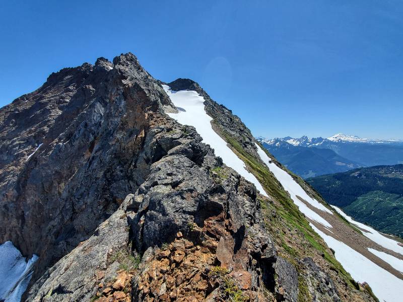 The Still - 1 Reviews